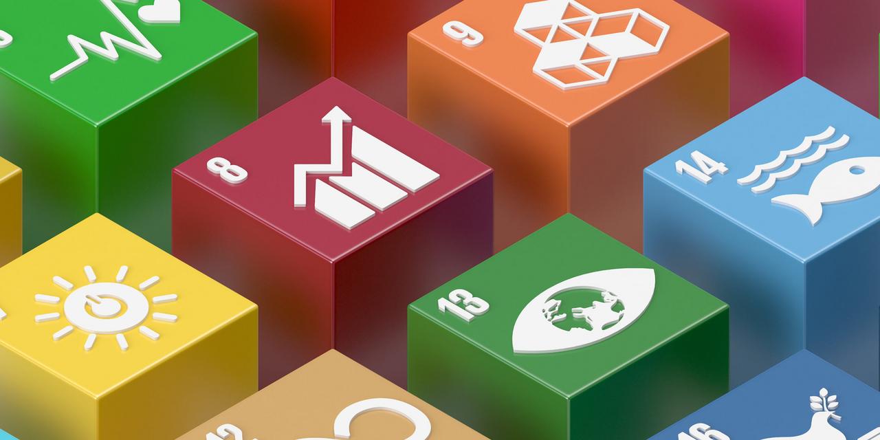 SDG Insights - mastering the Sustainable Development Goals | SDSN ...